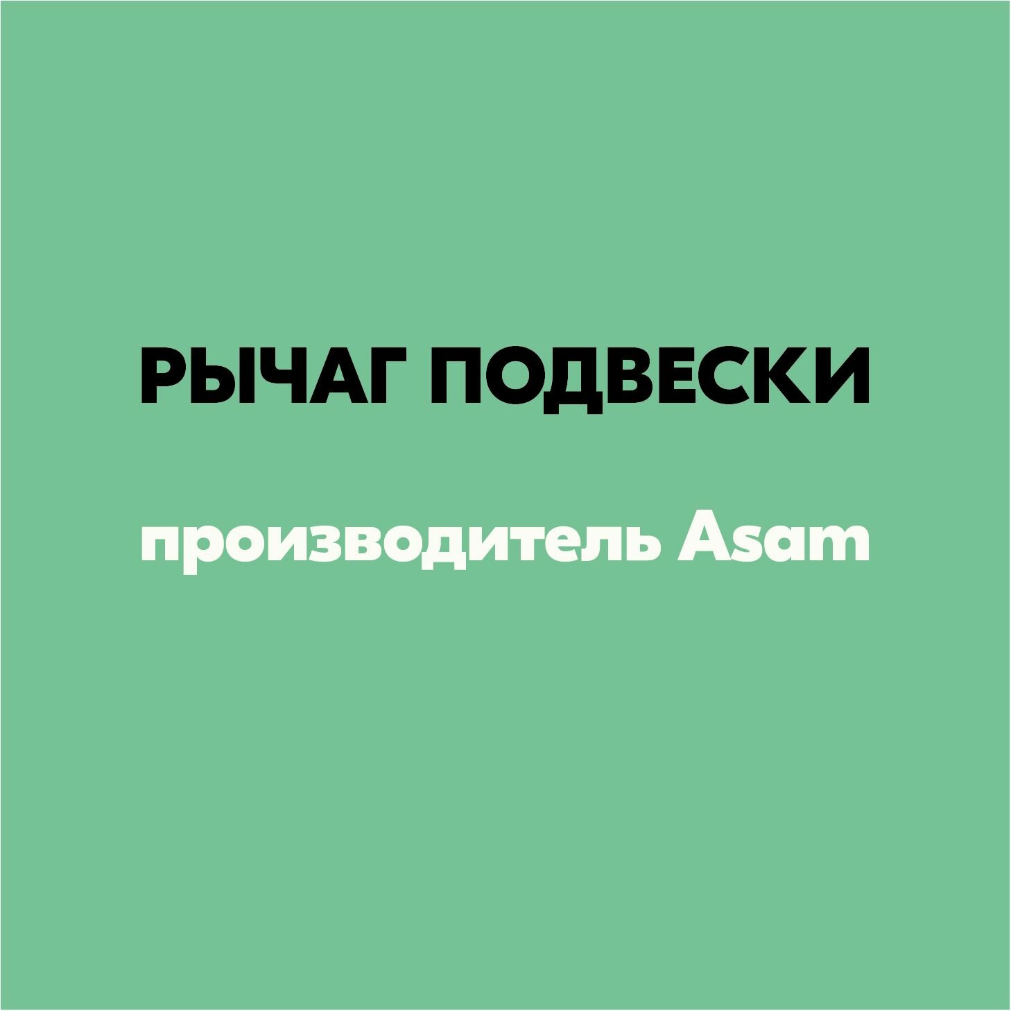 Рычаг повески (артикул 80419, производитель Asam)