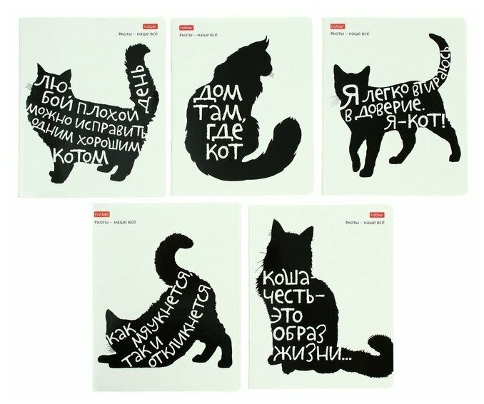 Тетрадь Hatber "Коты наше Все", клетка, твердая обложка, 48л, A5, 5шт.