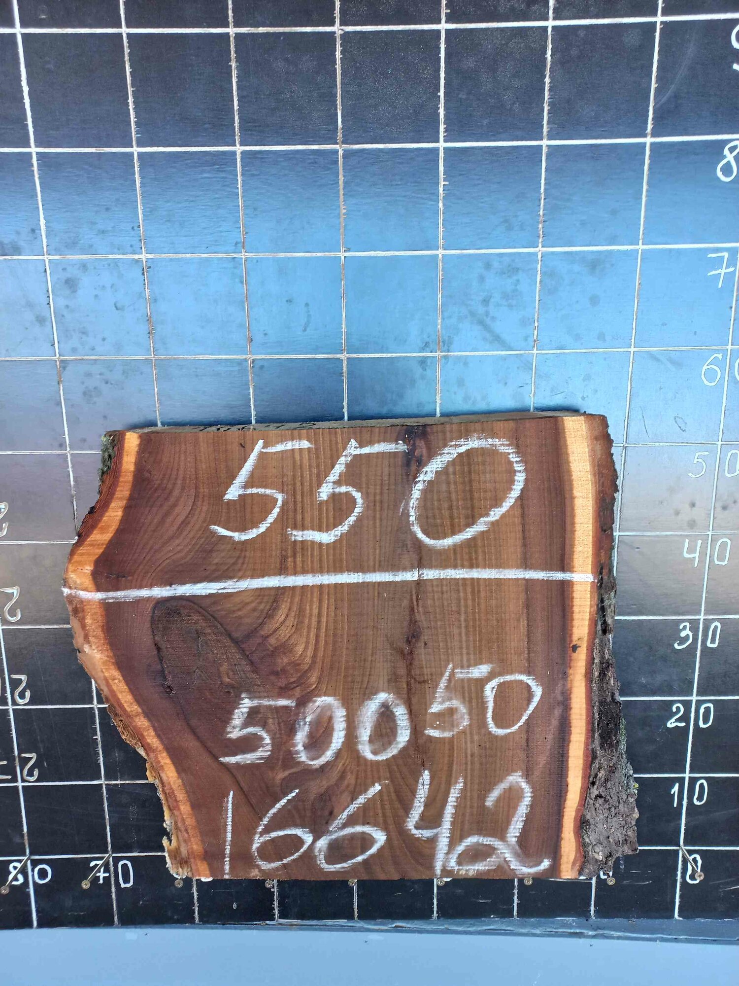 Слэб из массива натурального дерева Карагач №16642, 5*55*50 см, ДОКЛЕС