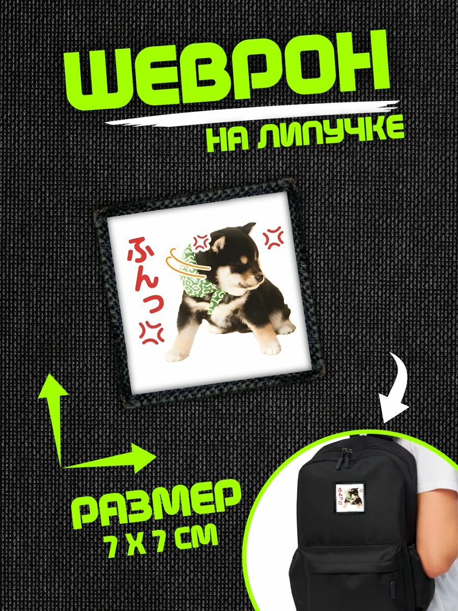 Шеврон на липучке нашивка Собака