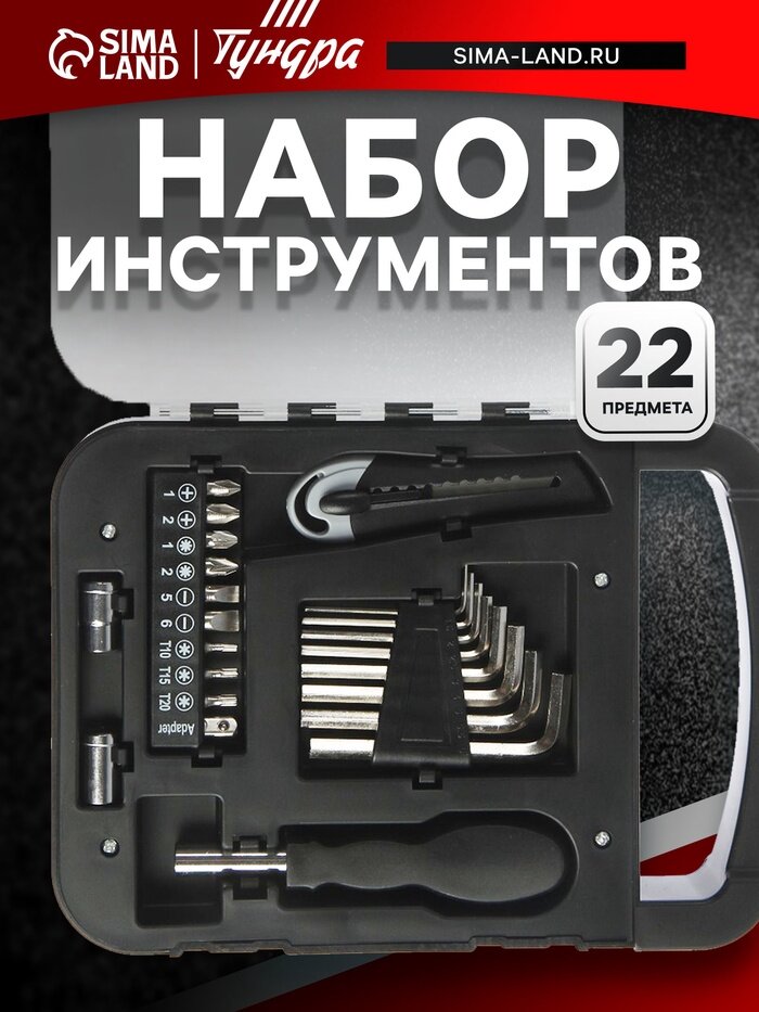Набор инструментов тундра, пластиковый кейс, 22 предмета