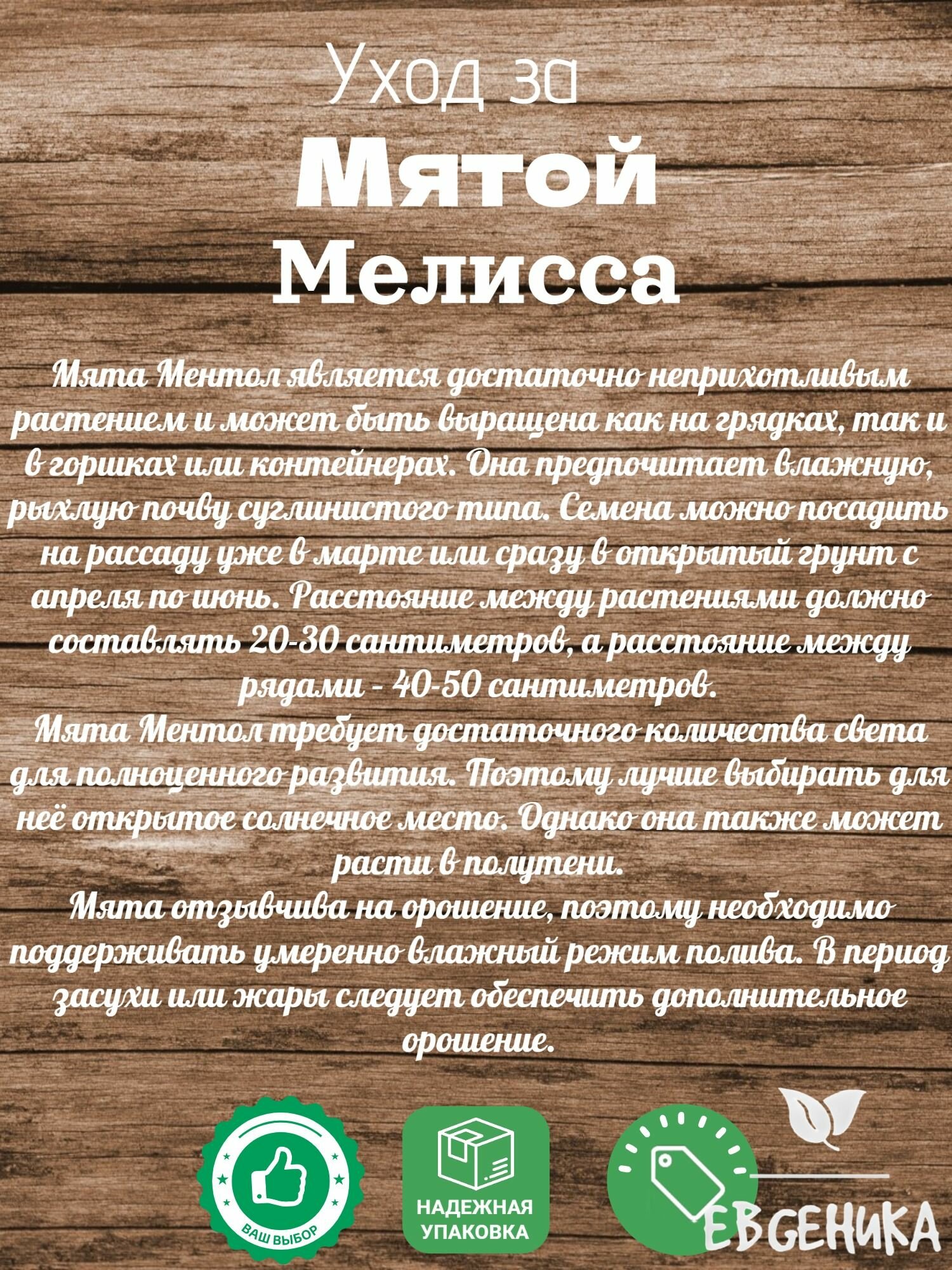 Мята Ментол — фото 1