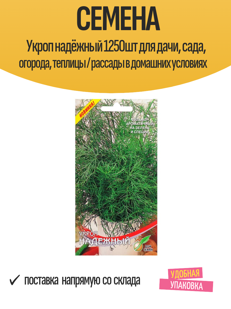 Семена Укроп надёжный 1250шт для дачи, сада, огорода, теплицы / рассады в домашних условиях