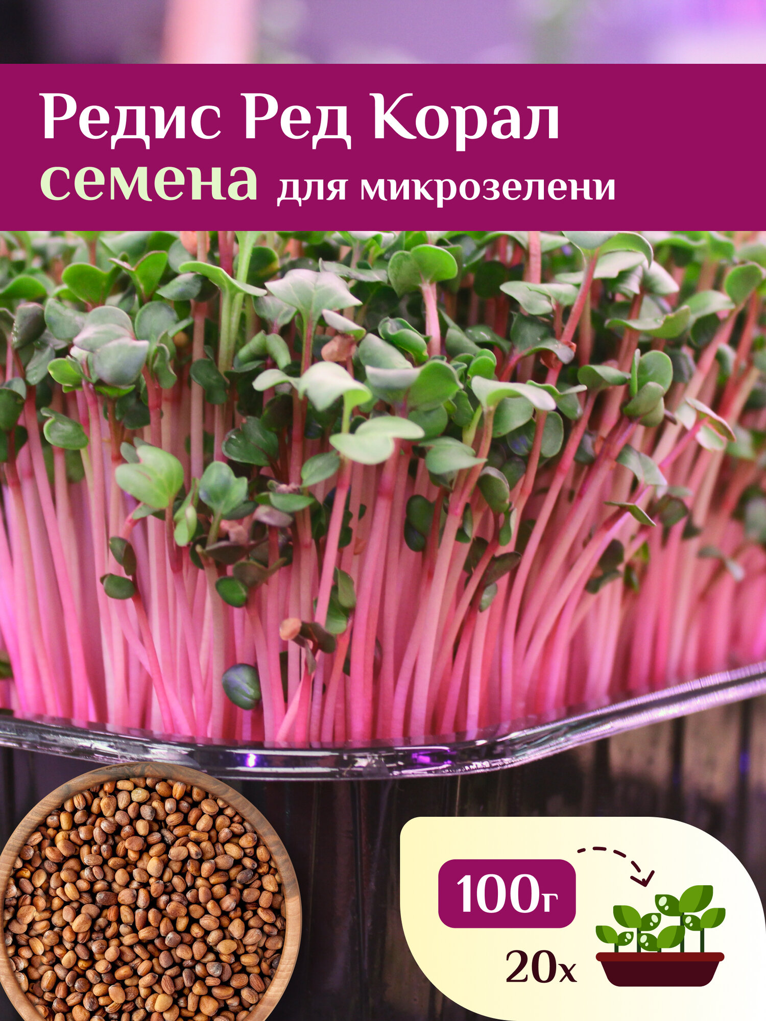 Редис Ред Корал семена для проращивания, Ильинские проростки 100г