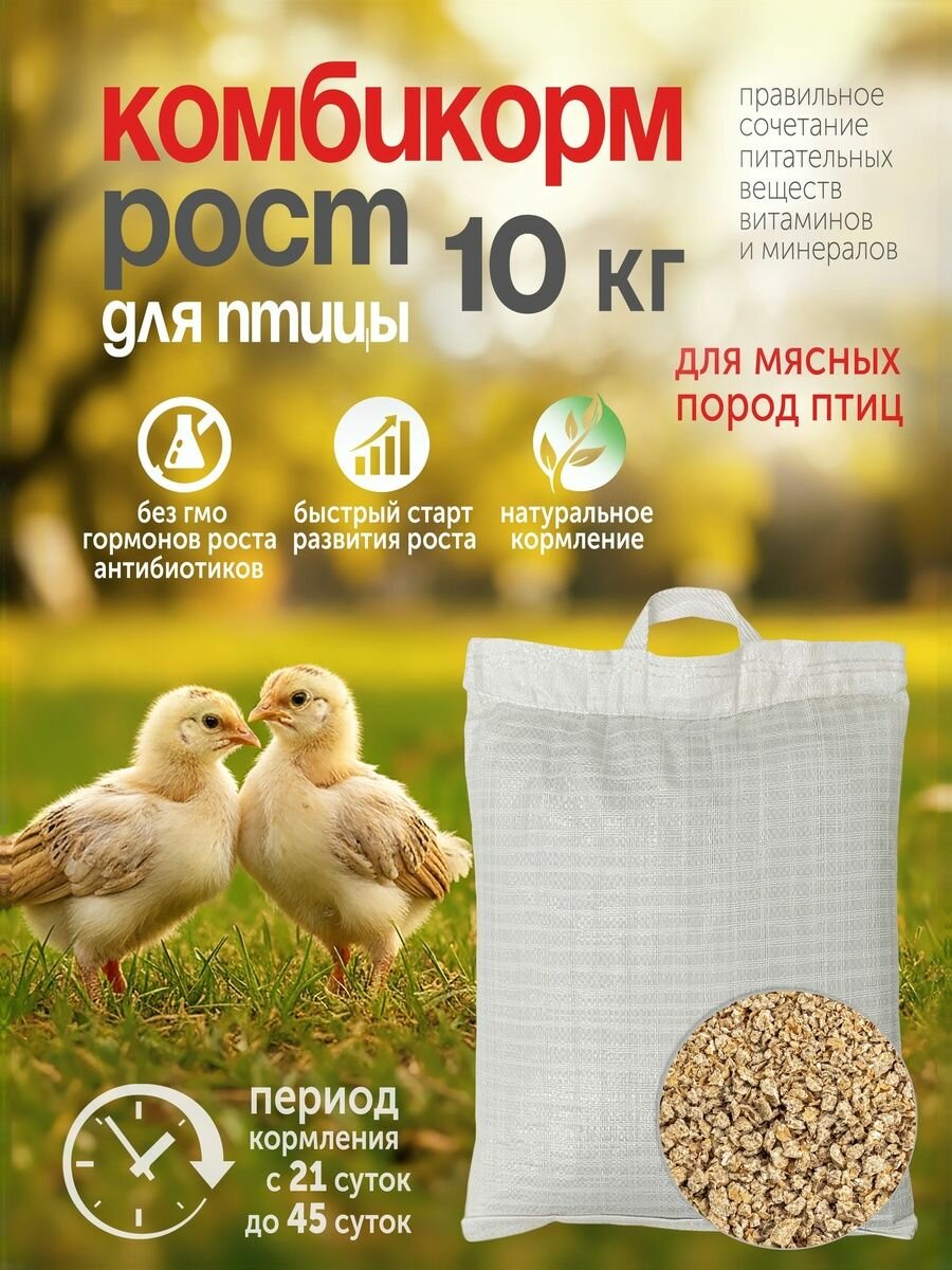 Комбикорм сибагро-про "Рост", для цыплят, полнорационный, 10кг