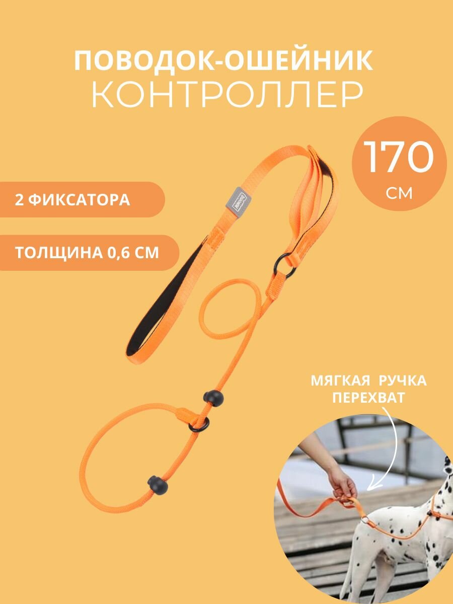 Поводок
