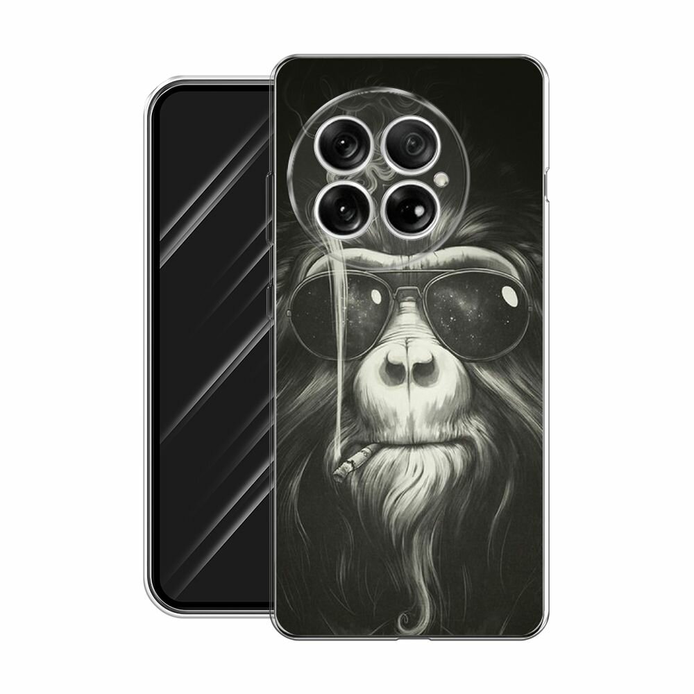 Чехол на OnePlus 13 / Ван Плас 13 с принтом "Обезьяна в очках" — фото 1
