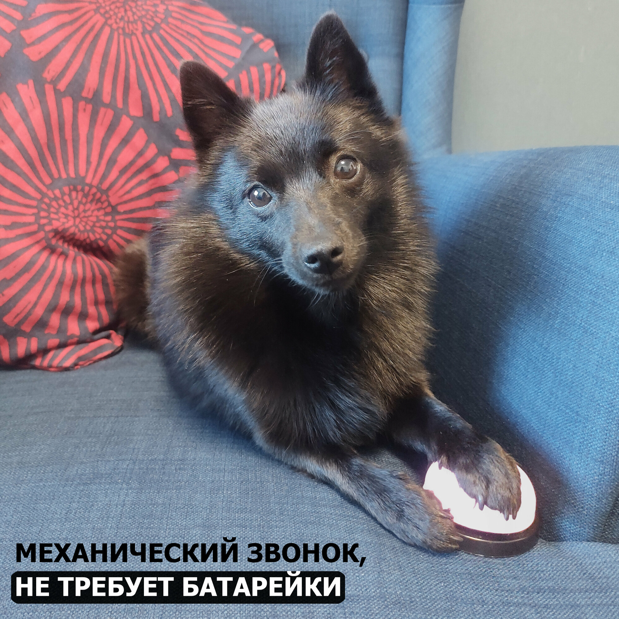 Звонок для собак, игрушка для дрессировки собак, кликер, белый