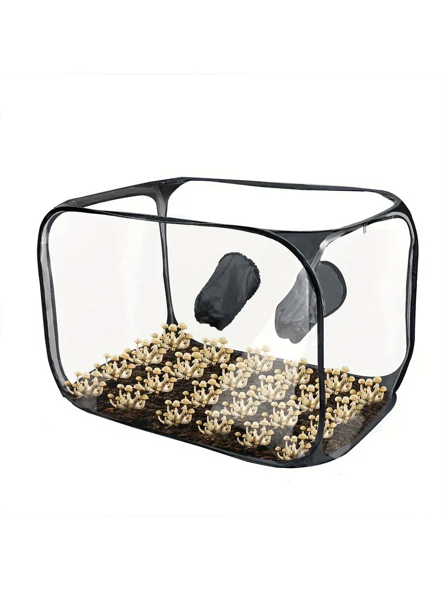 Бокс для выращивания грибов, мешок Black, для Mycology