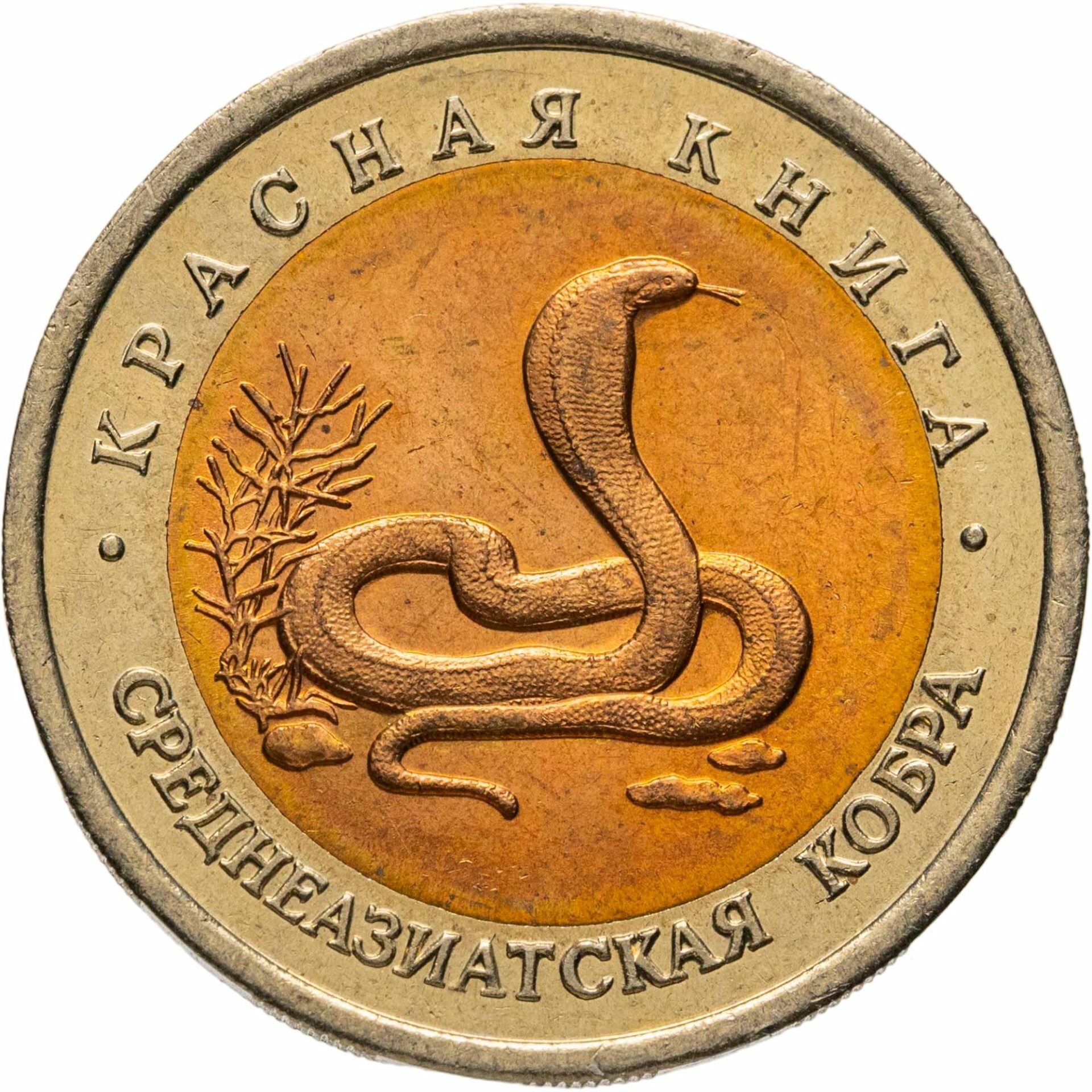 10 рублей 1992 ЛМД "Среднеазиатская кобра", Биметалл, в сохранности AU-UNC