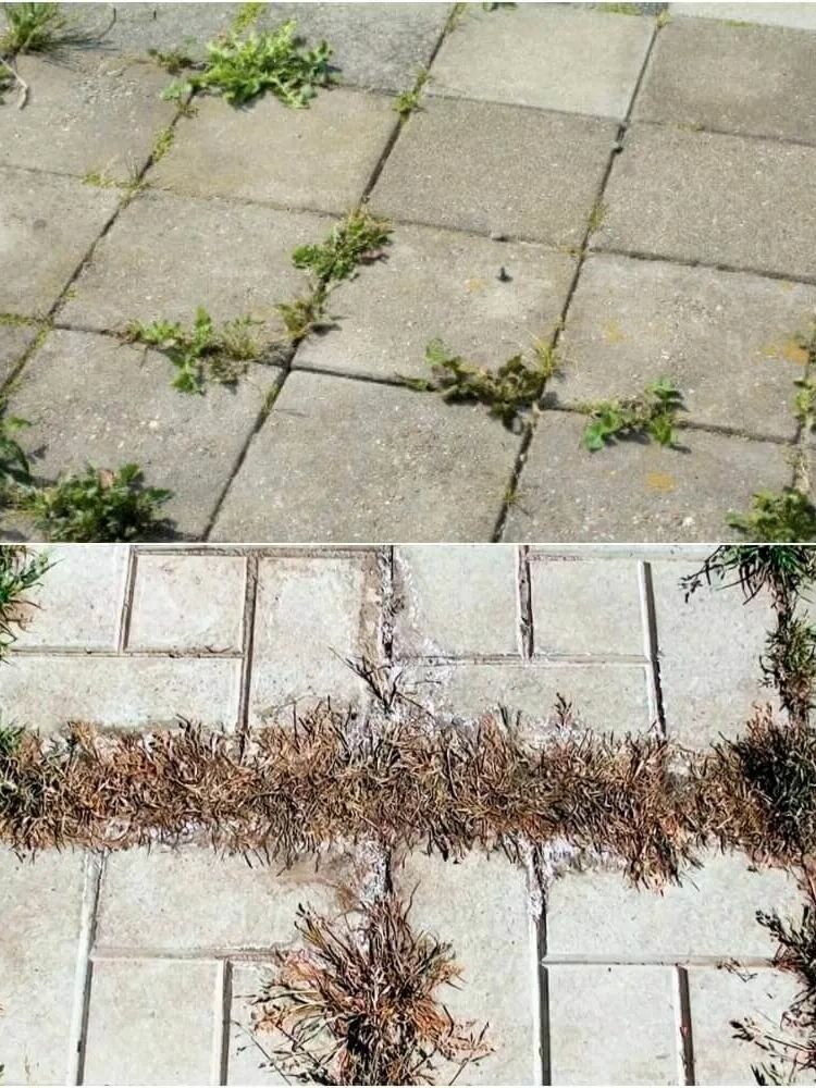 Защита растений — фото 1