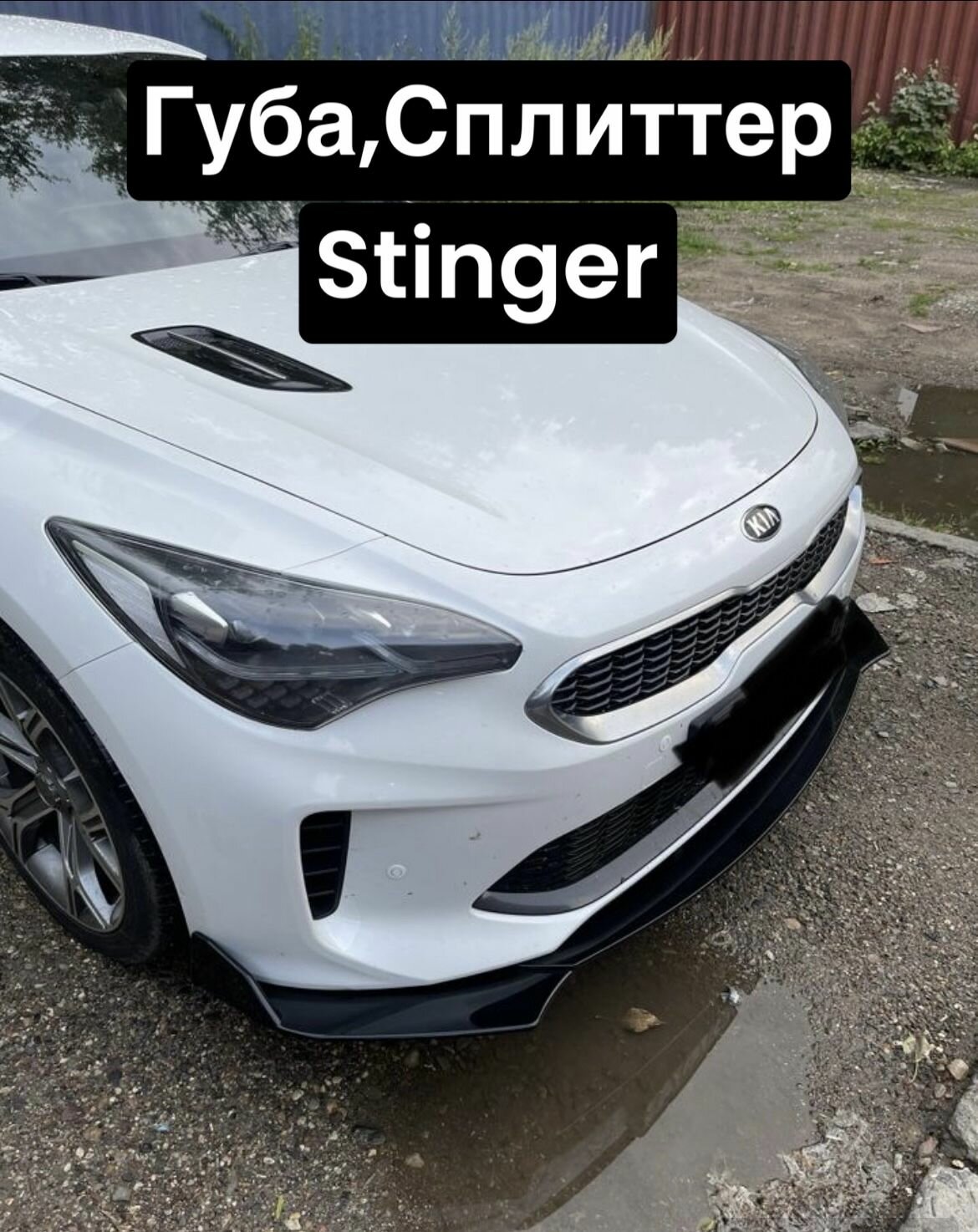 Губа, Сплиттер Stinger (Чёрный глянец)