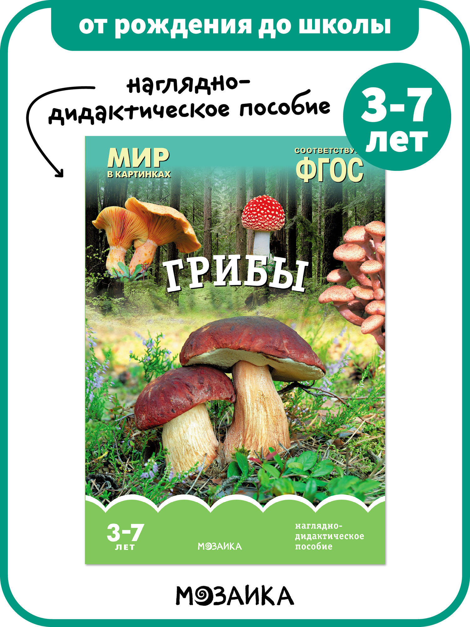 Наглядно дидактическое пособие от рождения до школы для детей 3-7 лет, Грибы, Мир в картинках, ФГОС