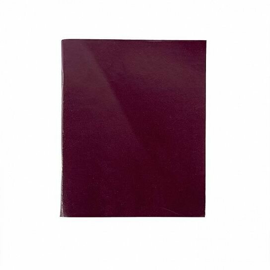 Lite Тетрадь А4 Бордо, 96 листов в клетку, скрепки, бумвинил, офсет №2