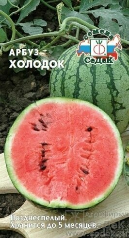 Семена арбуза Седек "Холодок", однолетние, лежкие, 1г