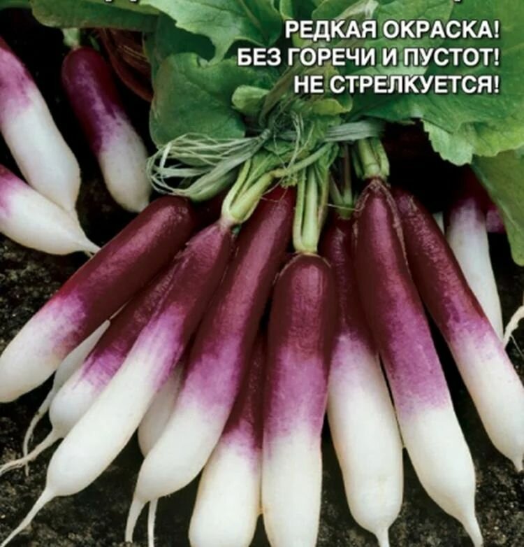 Коллекционные семена редиса Ведьмины Пальцы