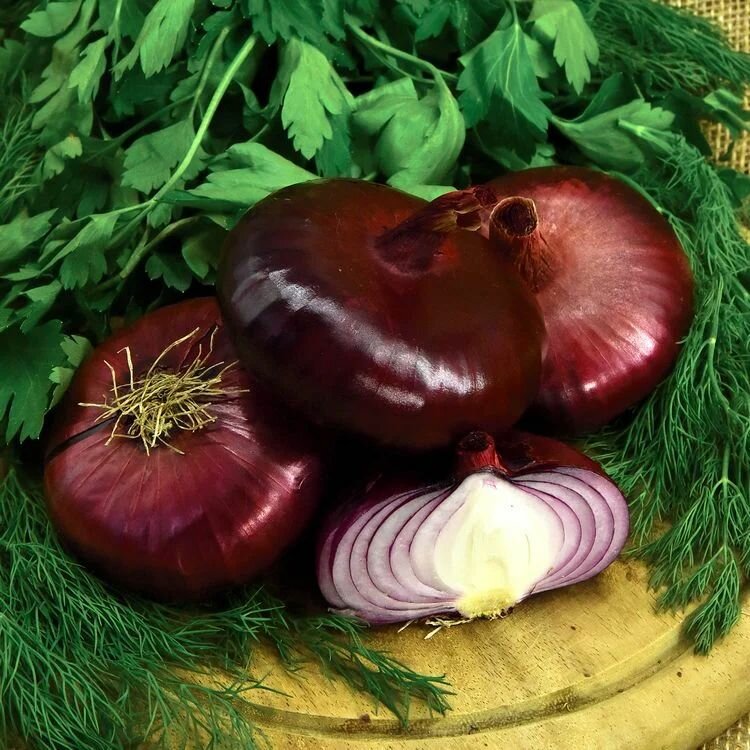 Коллекционные семена лука репчатый Ялтинский плюс