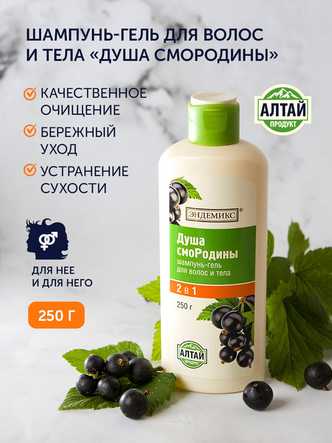 Шампунь гель для волос и тела «Душа смородины» с пантенолом, для душа и ванны, два в одном, 250 мл.