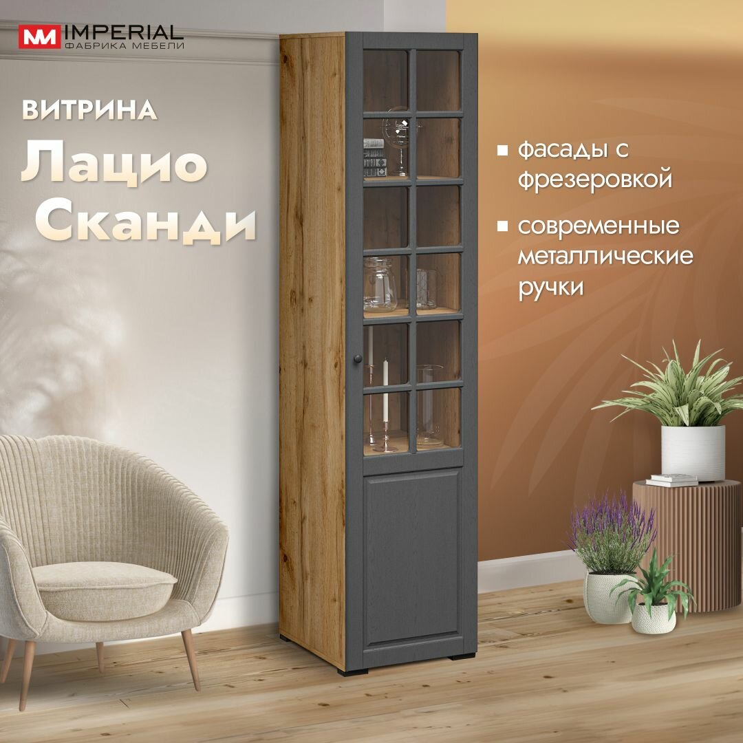 Шкаф-витрина Лацио, однодверный с полками, 48х53х204, ПР Сканди (темно-серый/графит, коричневый)