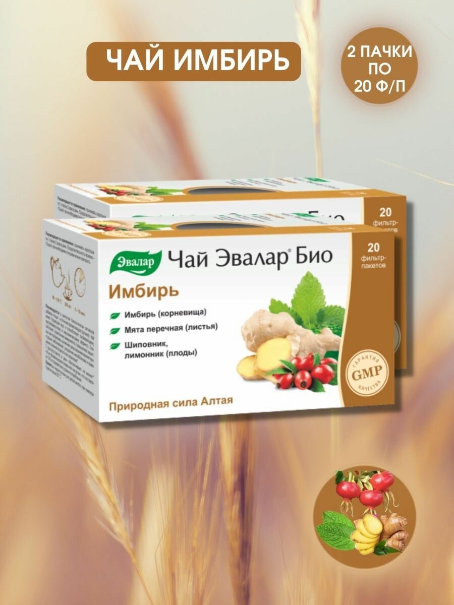 Чай имбирь 20 фильтр-пакетов по 1,5г Эвалар Био