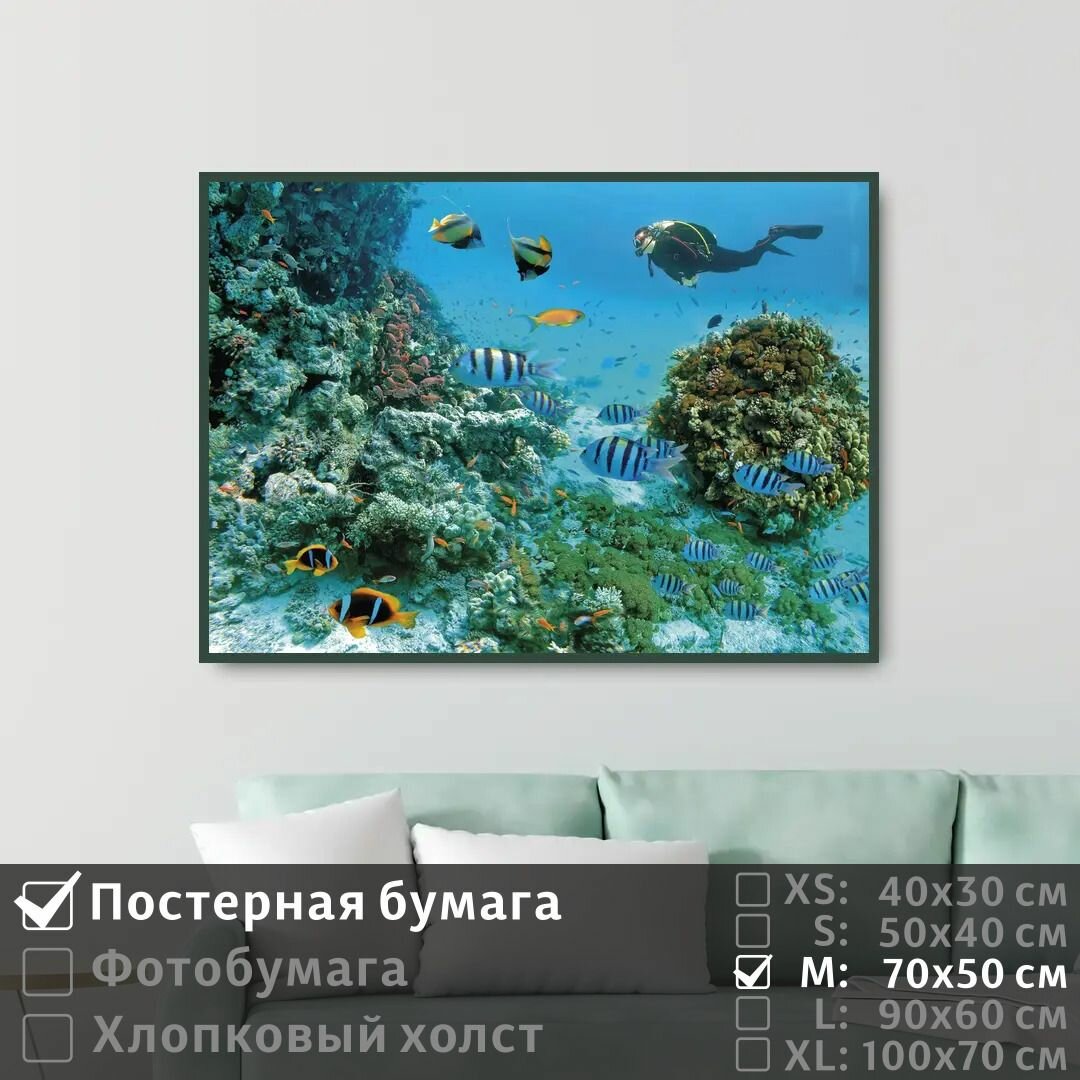Постер на стену Морские Рыбы Под Водой С Дайвером 70х50 см ПолиЦентр