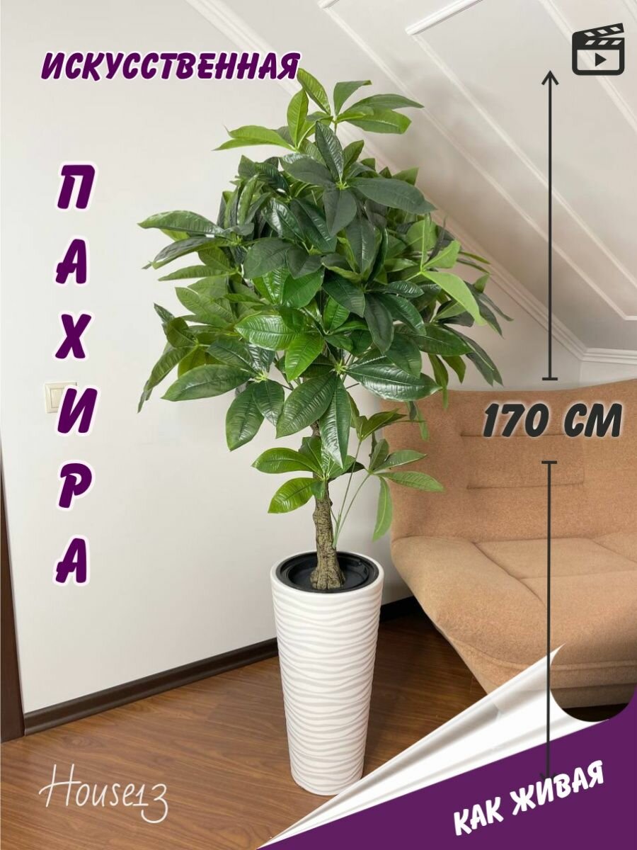 Искусственное дерево пахира
