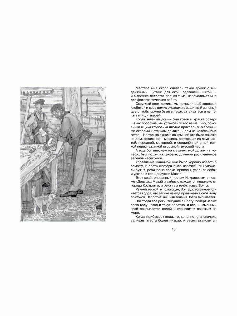 Лисичкин хлеб — фото 1