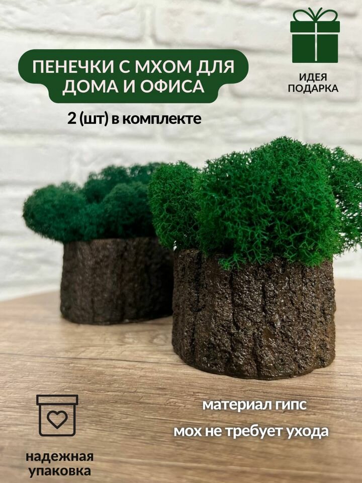 Пеньки со стабилизированным мхом комплект 2 шт.