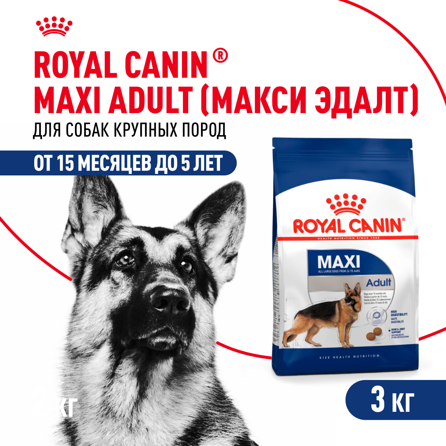 Сухой корм для собак Royal Canin Maxi Adult для крупных пород от 15 месяцев до 5 лет, 3 кг