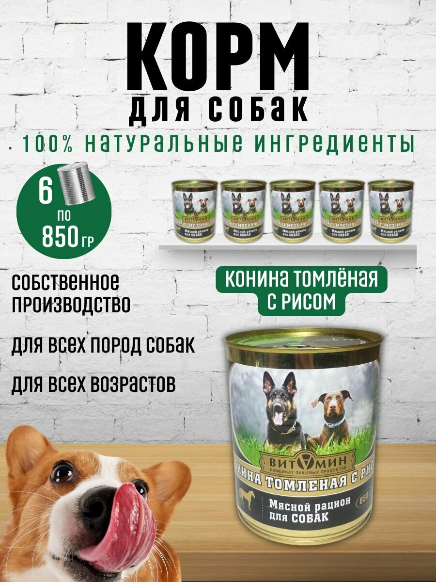 Конина томленая с рисом корм 850 грамм 6 штук для собак