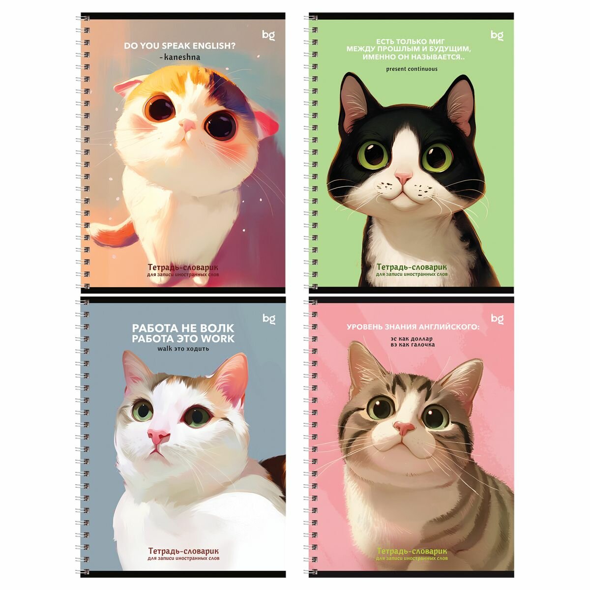Тетрадь-словарь для записи иностранных слов 48л, А5 BG "Умные кошки", линейка, спираль (ТС5гр48 09917), 4шт.