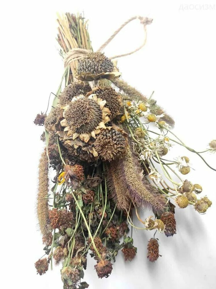 Большой букет из луговых трав копошилка подвесная в клетку для крупных, средних, волнистых попугаев и грызунов, чумиза в колосках, ромашка, клевер, подсолнечник