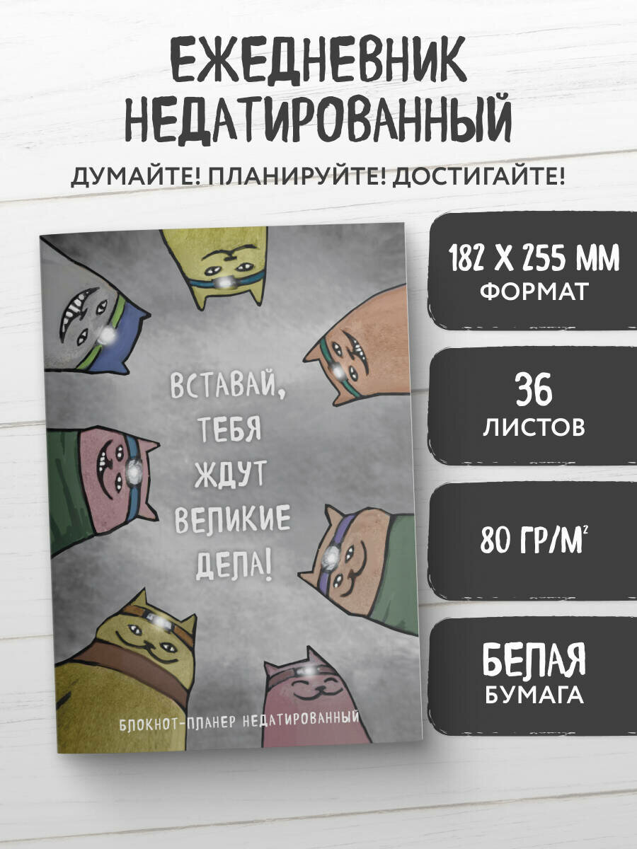 Богданова Е. В. Блокнот-планер недатированный. Вставай, тебя ждут великие дела! (А4, 36 л, на скобе)