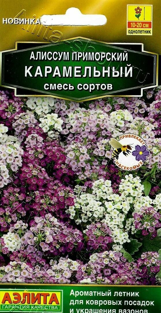 Семена Агрофирма Аэлита Алиссум "Карамельный", почвопокровные, смесь сортов