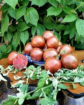 Коллекционные семена томата Чёрная Миля Лунного Света