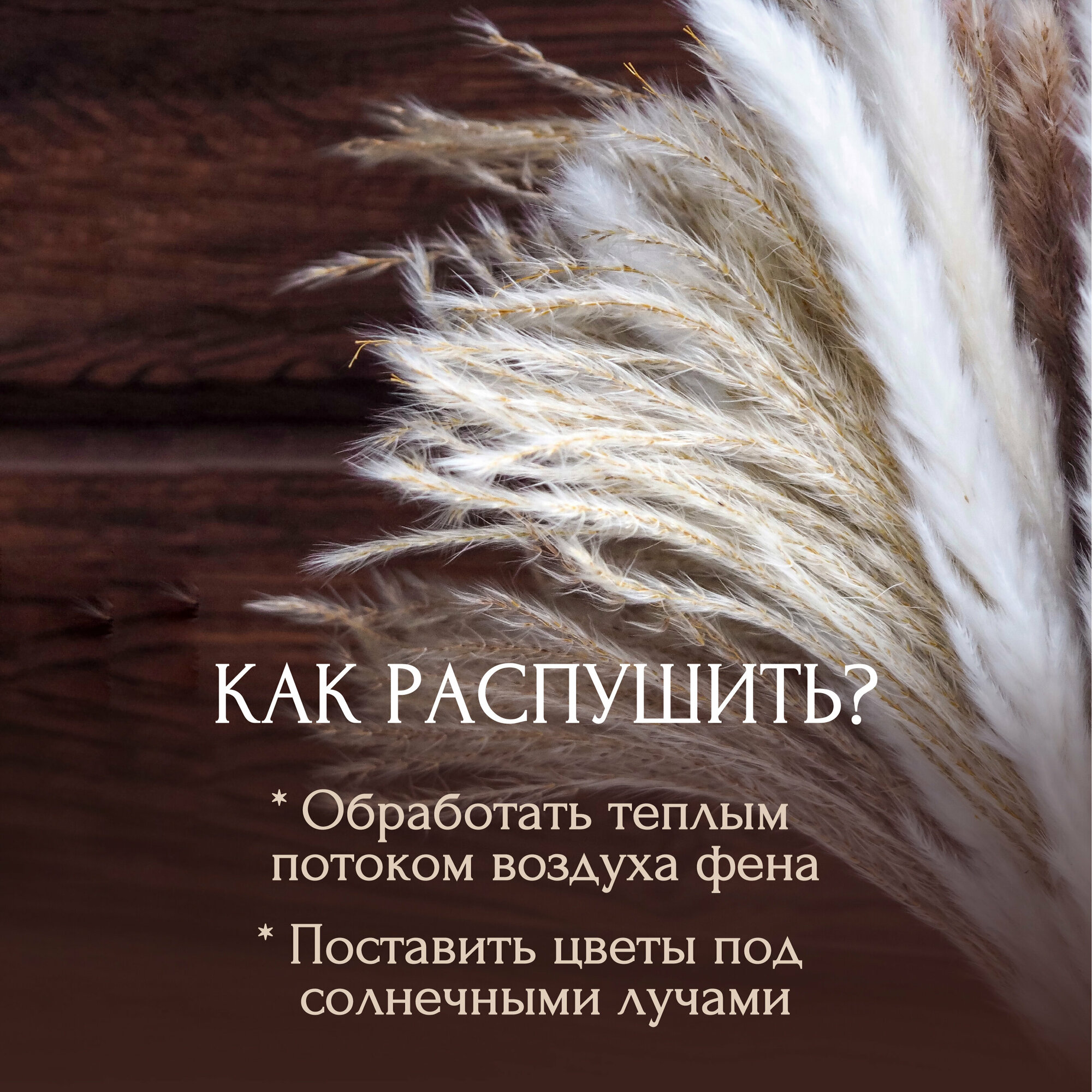 Сухоцветы букет для декора дома — фото 1