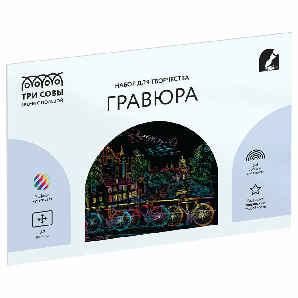 Гравюра с мультицветной основой ТРИ совы "Амстердам", А3, 345947