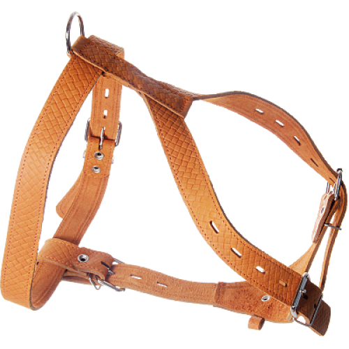 Зооник шлейка кожаная 30мм для собак (большая)