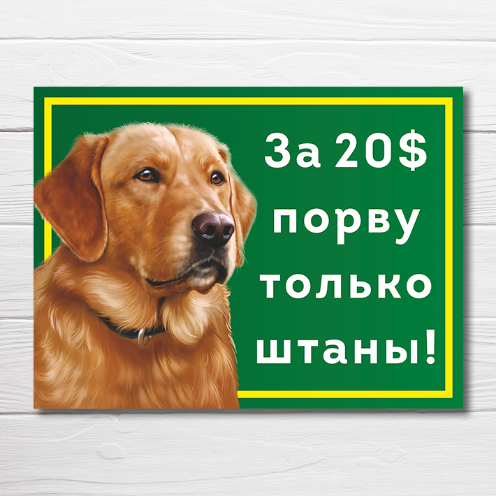 Табличка "За 20$ порву только штаны", 33х25 см, ПВХ