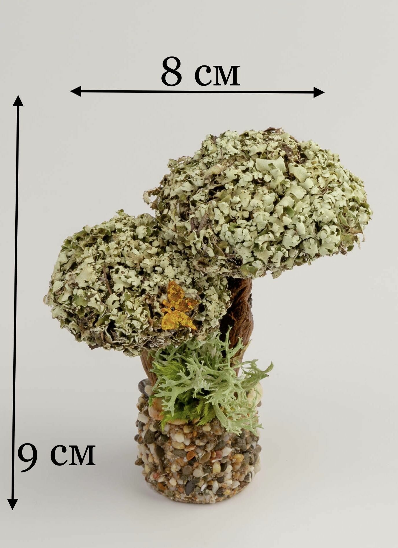 Живое дерево из исландского мха цетрария "Влюбленная пара" 9см