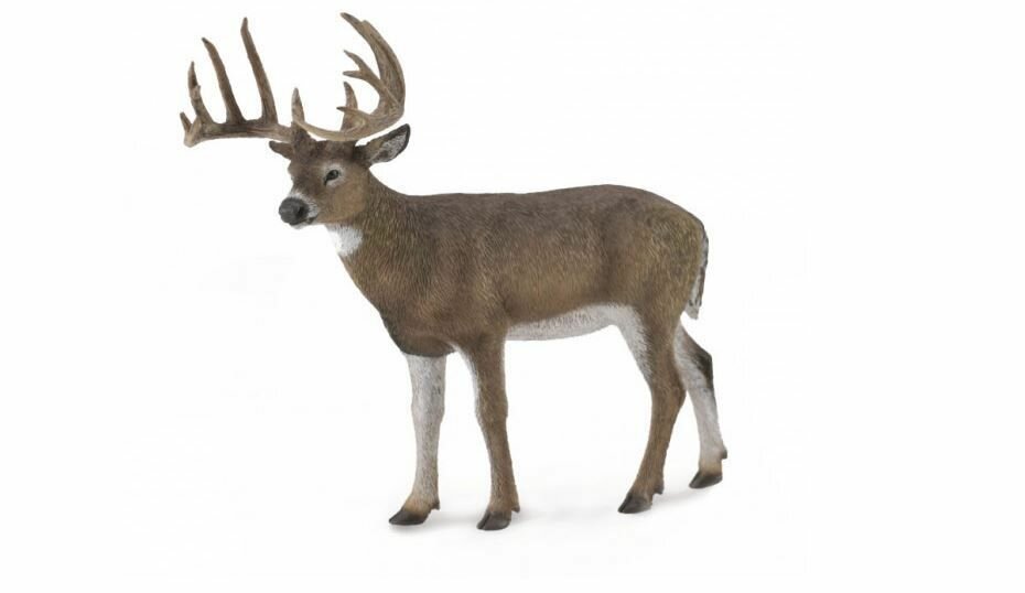 Фигурка Collecta Олень белохвостый, L 88832b