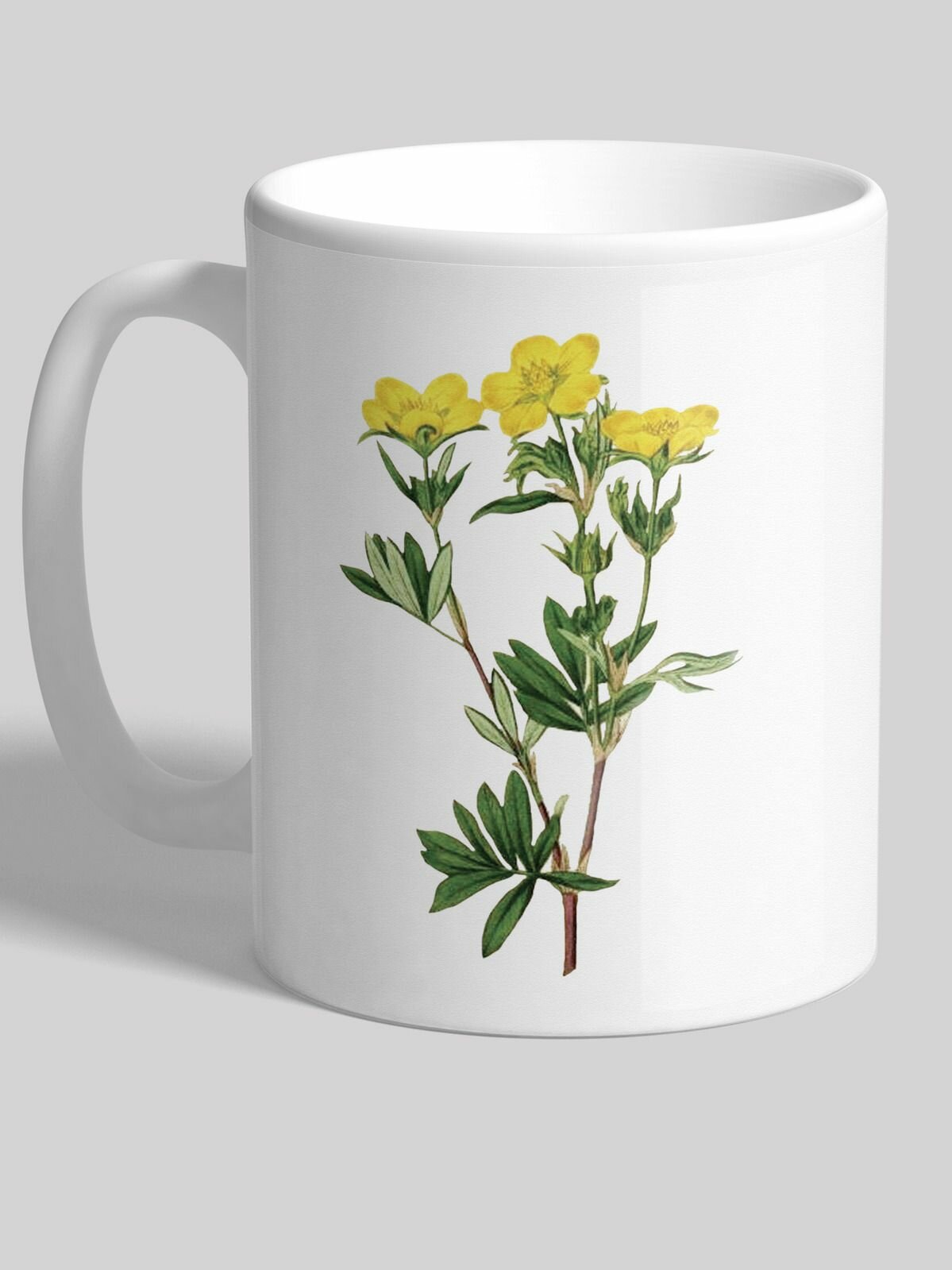 Кружка cooperative.moscow " Лапчатка цветок " (кружка с Лапчаткой , Лапчатка , кружка с цветком, кружка Лапчатка , с Лапчаткой , подарок с любовью, кружка с цветами, цветы, цветок) , 330 мл, 1 шт