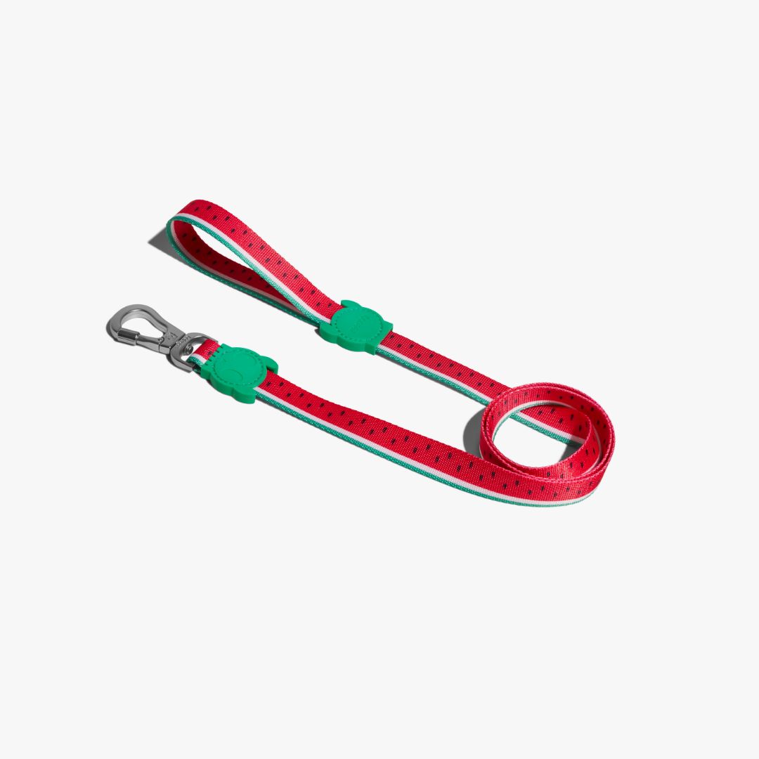 Поводок LOLA 120 см Zee.Dog (красный / L / 120 см)