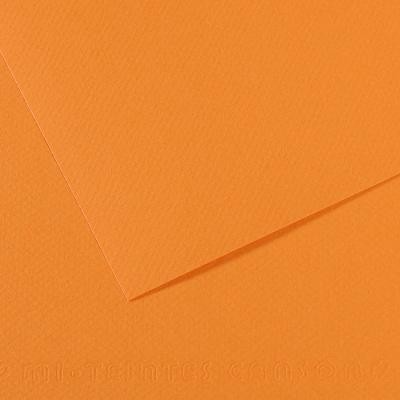 Бумага для пастели Mi-Teintes 160г/м. кв 50*65см №384, буйволовая кожа, 10л