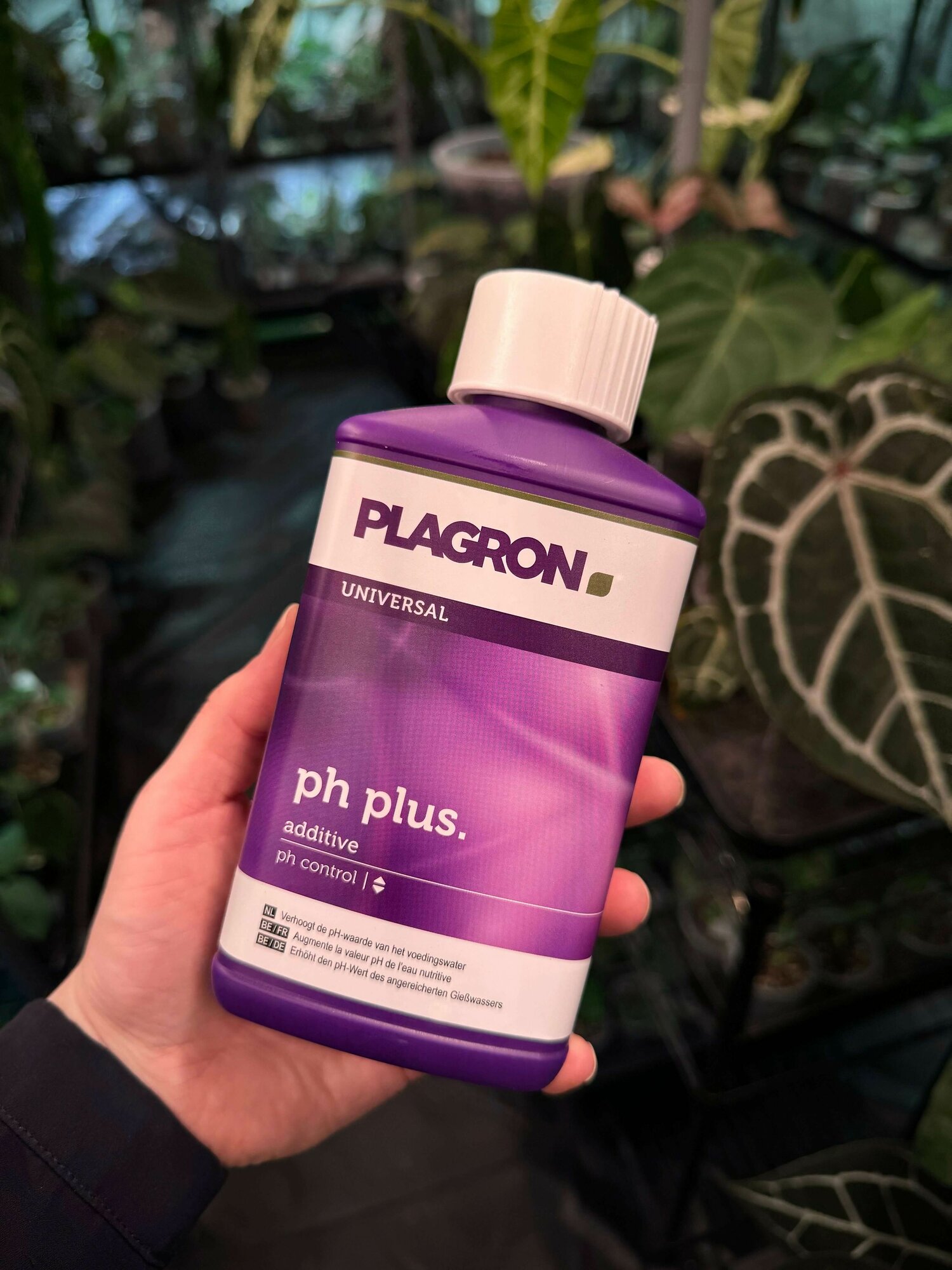Удобрение - регулятор кислотности раствора Plagron pH Plus 0.5 л.