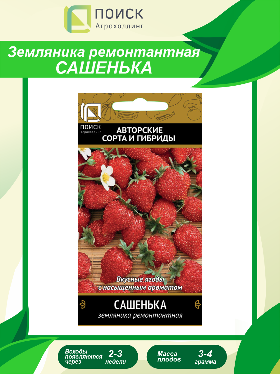 Семена Земляника ремонтантная Сашенька 100 шт.