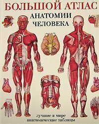 Махиянова Е. Б. "Большой атлас анатомии человека"