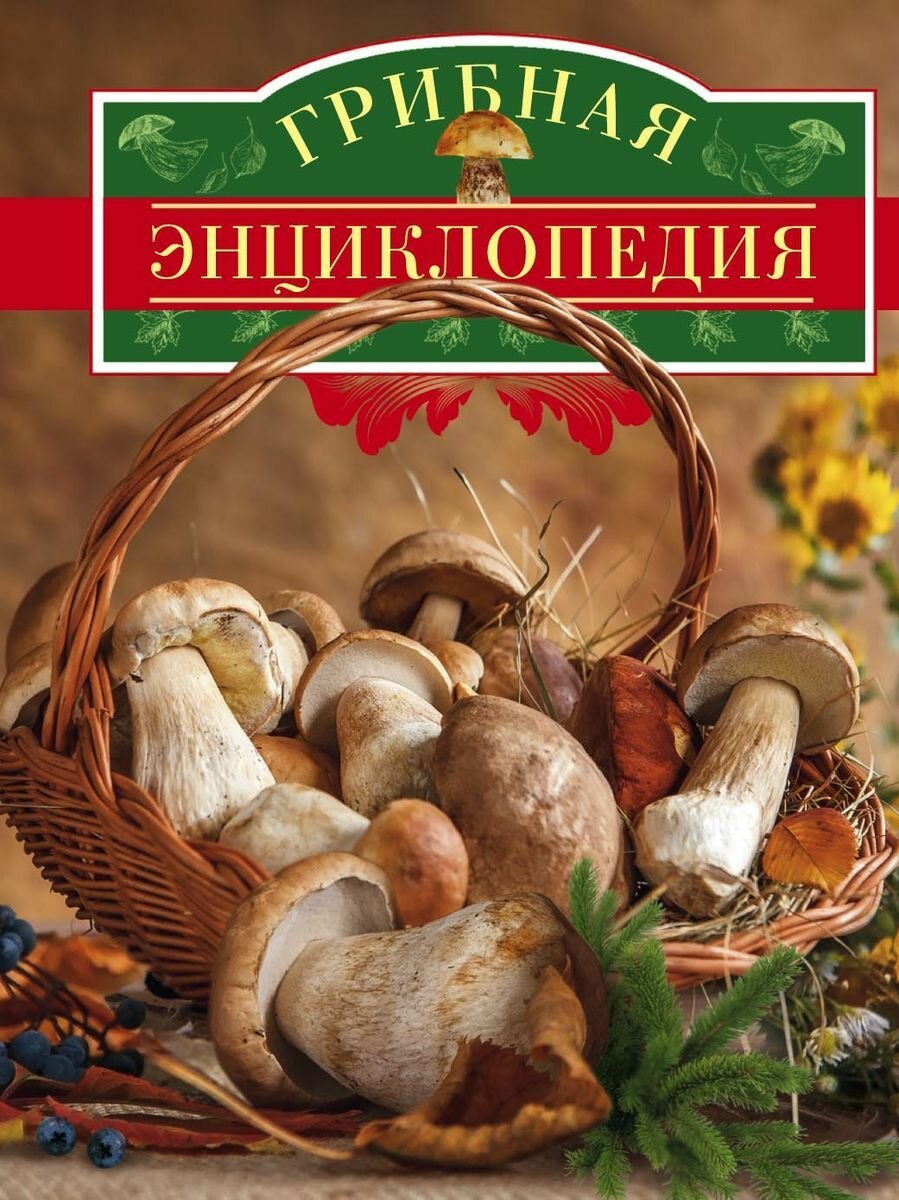 Грибная энциклопедия