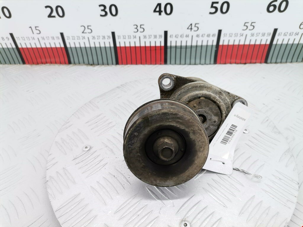 Натяжитель ремня генератора (приводного поликлинового ремня Nissan X-Trail T31 119556N20B арт. 1629618