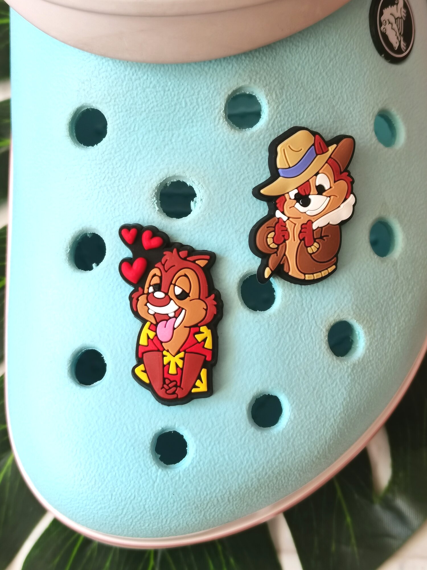 Джибитсы на crocs Чип и Дейл